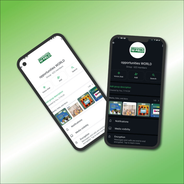 Judicial Fellowship Program 2026-2027 – Opportunities World